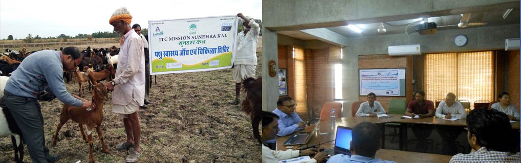 Development Support Center India